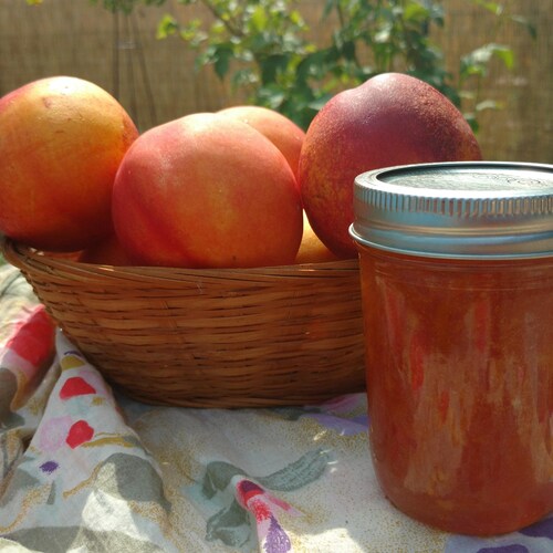Gooseberry Jam Small Batch Naturally Grown Hand Picked - Etsy