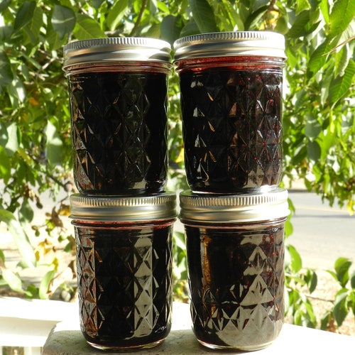 Hachiya Persimmon Jam 8oz Jar Oregon Pacific Northwest - Etsy