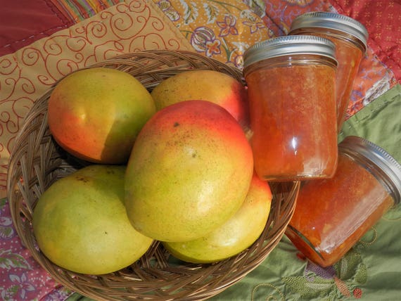 Mango jam 8 oz jar hand crafted small batchtart yet sweet | Etsy