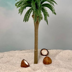 Miniature Coconuts, Miniature Palm Tree, Miniature Beach Garden ...