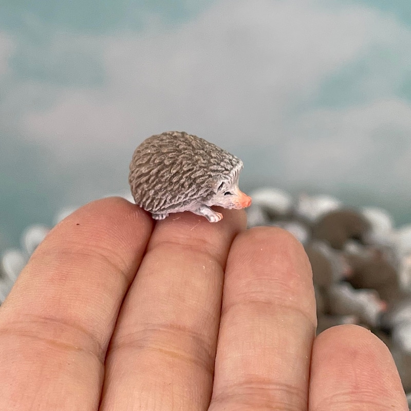Hedgehog Accessories - Etsy