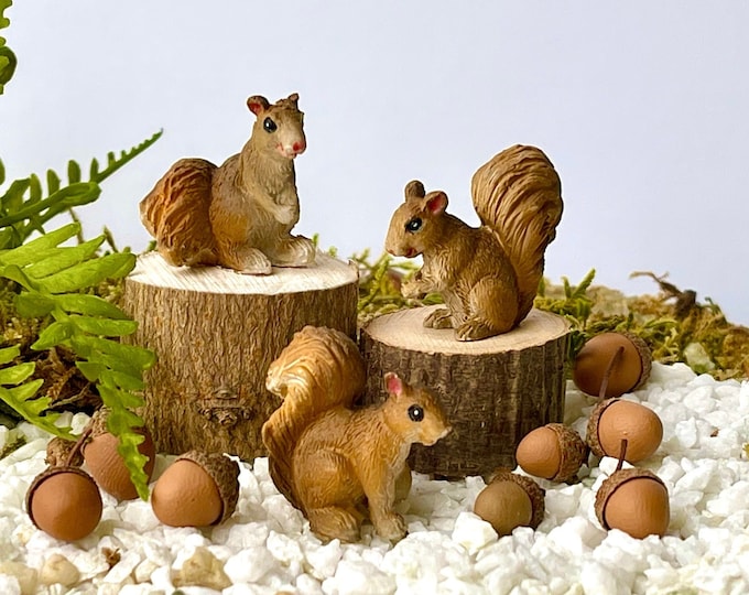 Miniature Squirrels, Mini Squirrels, Fairy Garden Accessories, SET OF 3 ...