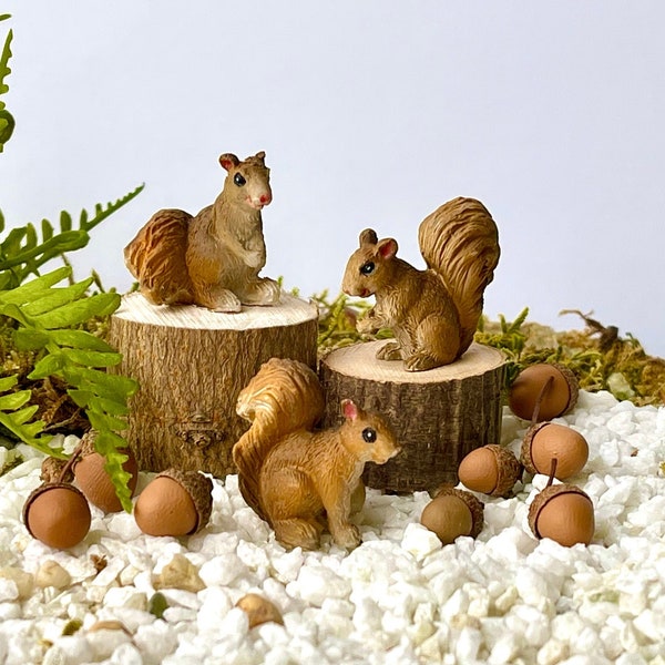 Squirrel Miniature - Etsy