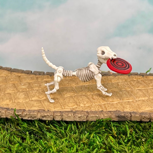 Dog Skeleton - Etsy