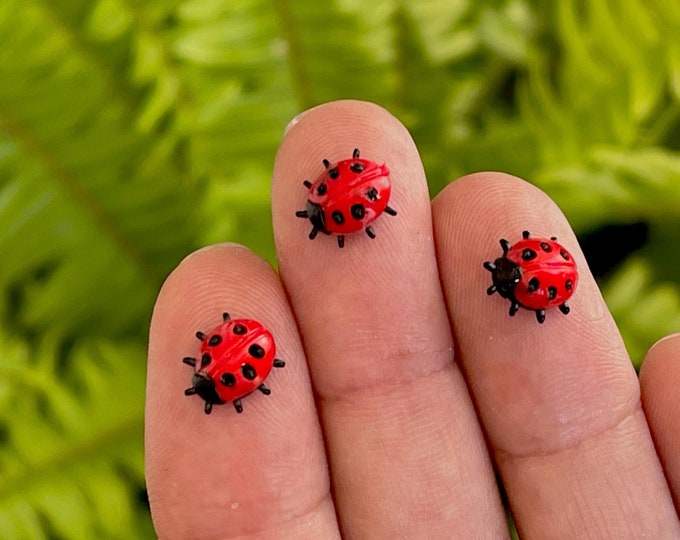 Miniature Ladybug, Tiny Ladybugs, Dollhouse Craft Supplies, Micro Mini ...