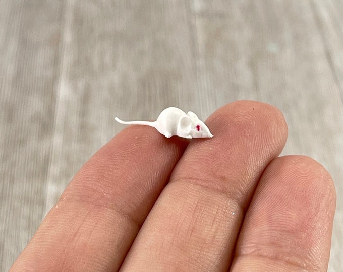 Miniature Mouse, Micro Mini Mice, Halloween Miniatures, White Mouse ...
