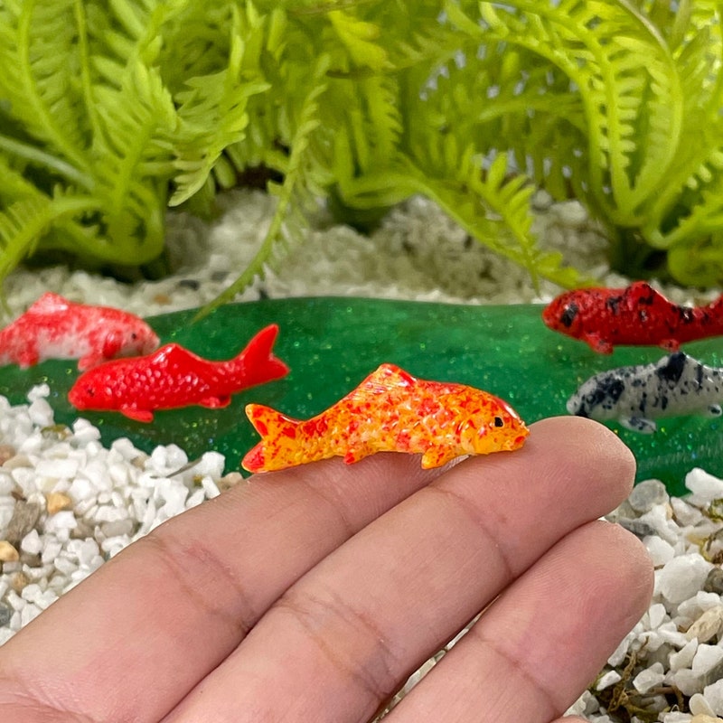 Miniature Koi Fish - Etsy
