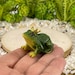 ONE Miniature Frog Prince, Fairy Garden Supply, Miniature Toad ...