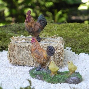Miniature Chicken Hen Rooster Chicks, Fairy Garden Accessories, Real ...
