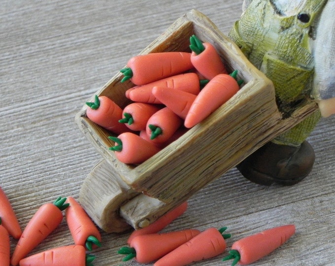 Miniature Carrot NO OTHER Items Are Included in This Listing. - Etsy