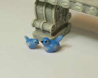 Cute bluebird | Etsy