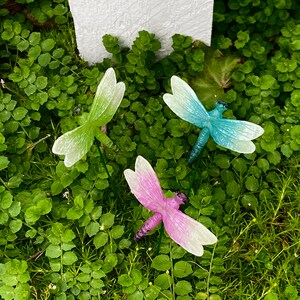 Miniature Dragonflies, Set of 3, Glow-in-the-dark, Fairy Garden ...