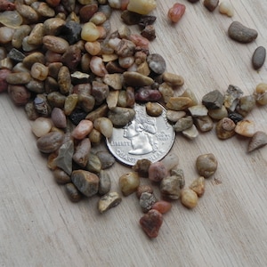Fairy Garden Pebbles Stones, Pathway Rocks, Terrarium Supply, 8 Ounces ...