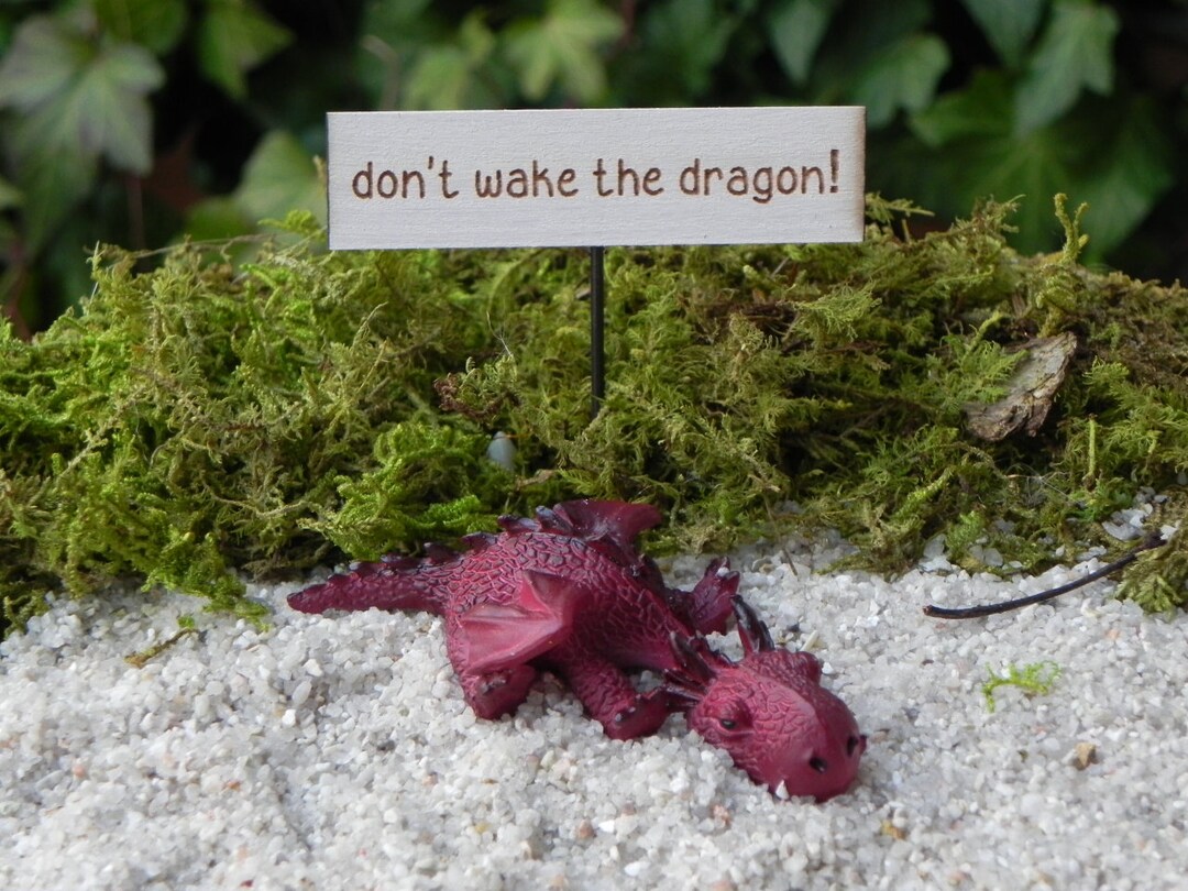 Miniature Dragon, Red, Wooden Sign, Fairy Garden Accessories, Miniature ...