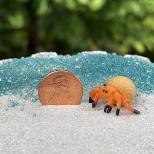 Miniature Crab, Mini Hermit Crab, Beach Garden Supplies, Terrarium ...