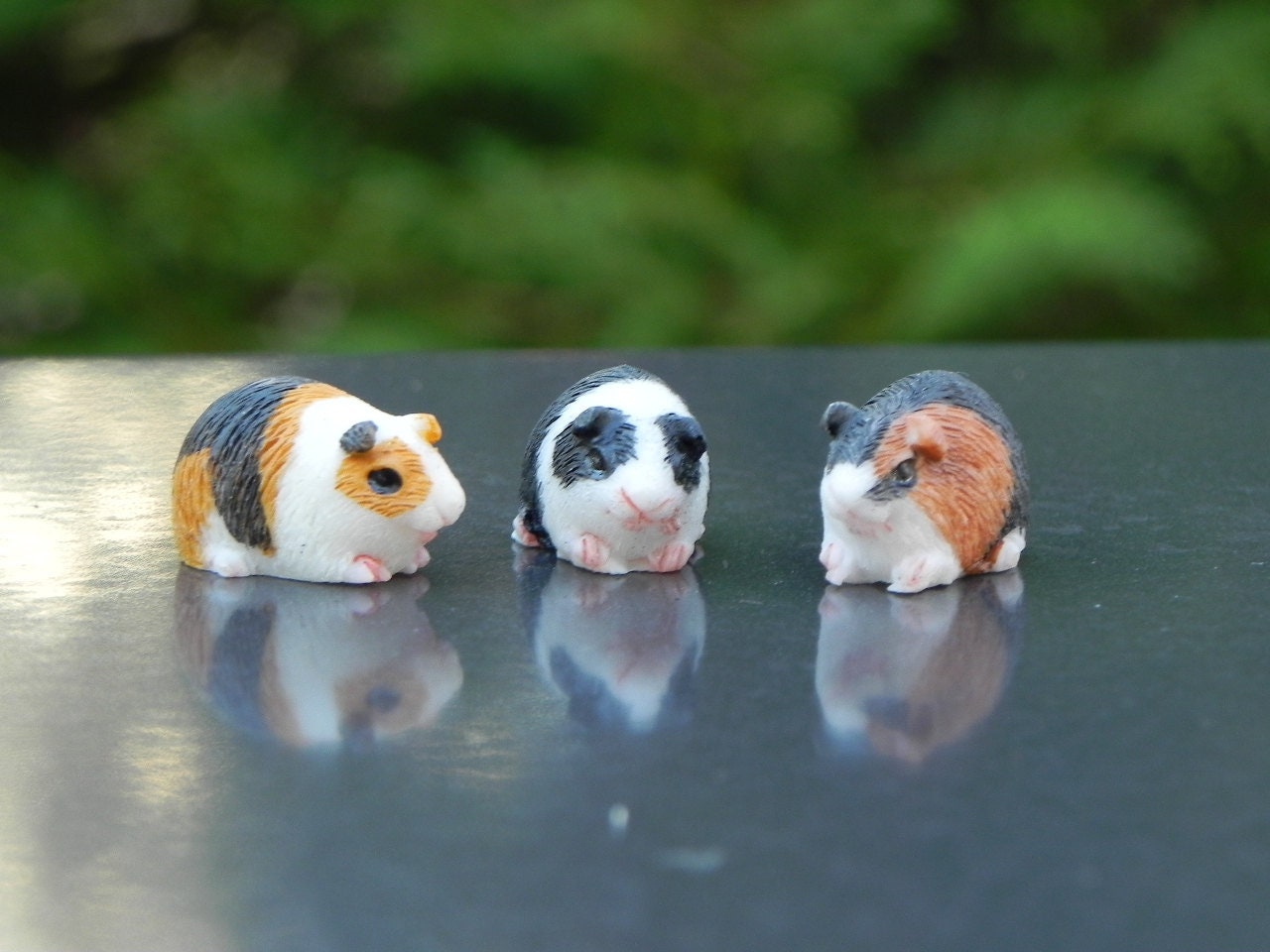 Miniature guinea pigs fairy garden accessories terrarium | Etsy