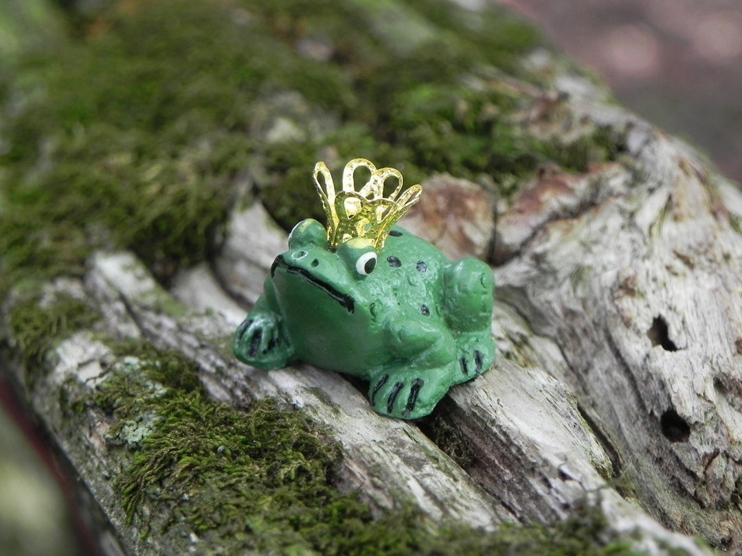 Miniature Frog, Miniature Toad, Miniature Frog Prince, Real Wood Slice ...