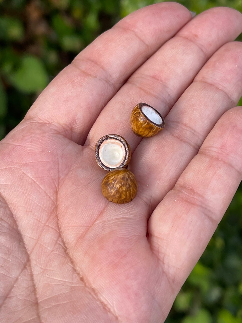 Miniature Coconuts Miniature Palm Tree Miniature Beach - Etsy