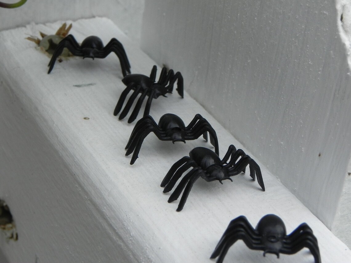 Miniature Spiders Plastic Fairy Garden Accessories Terrarium Halloween ...