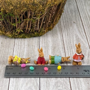 Miniature Easter Bunny, Miniature Bunnies, Miniature Easter Eggs, Fairy ...