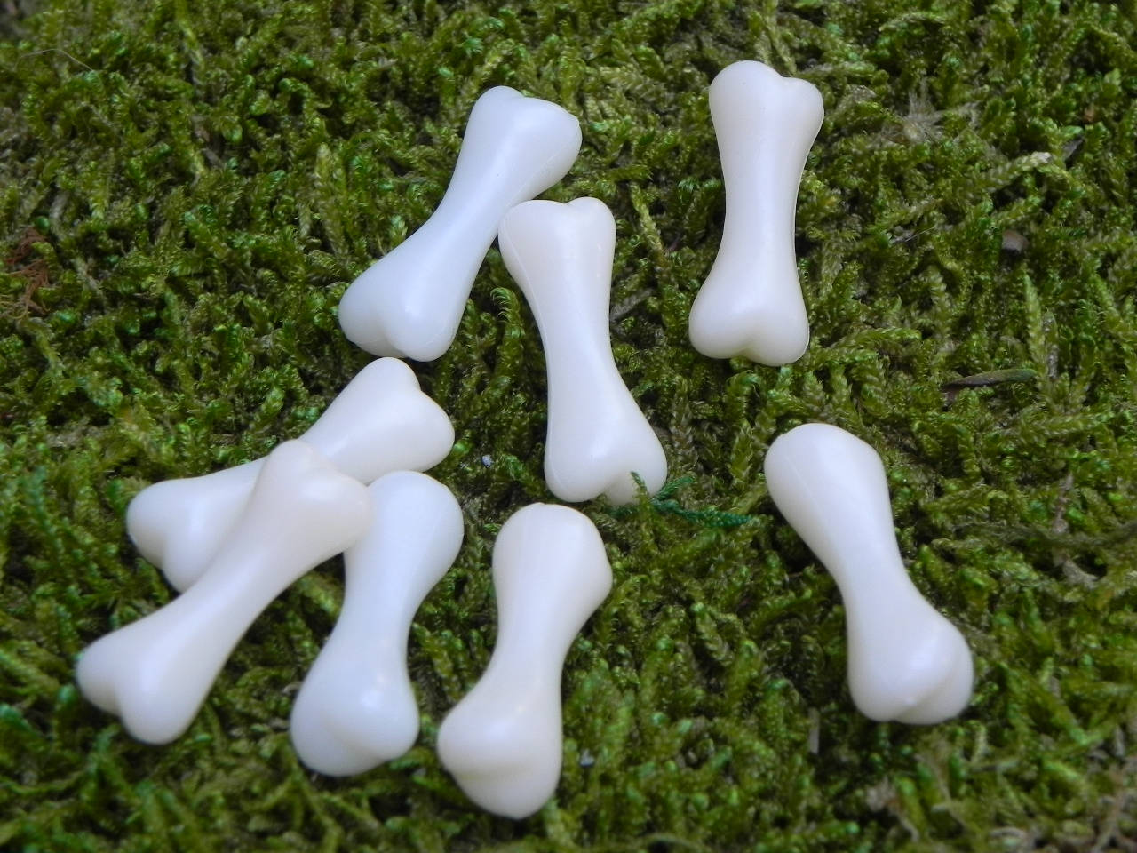 Miniature Bones Halloween Miniatures Fairy Garden | Etsy