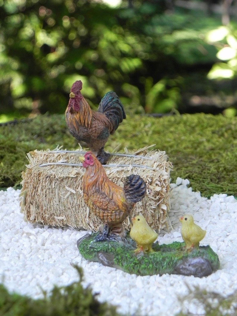Miniature Chicken Hen Rooster Chicks, Fairy Garden Accessories, Real ...