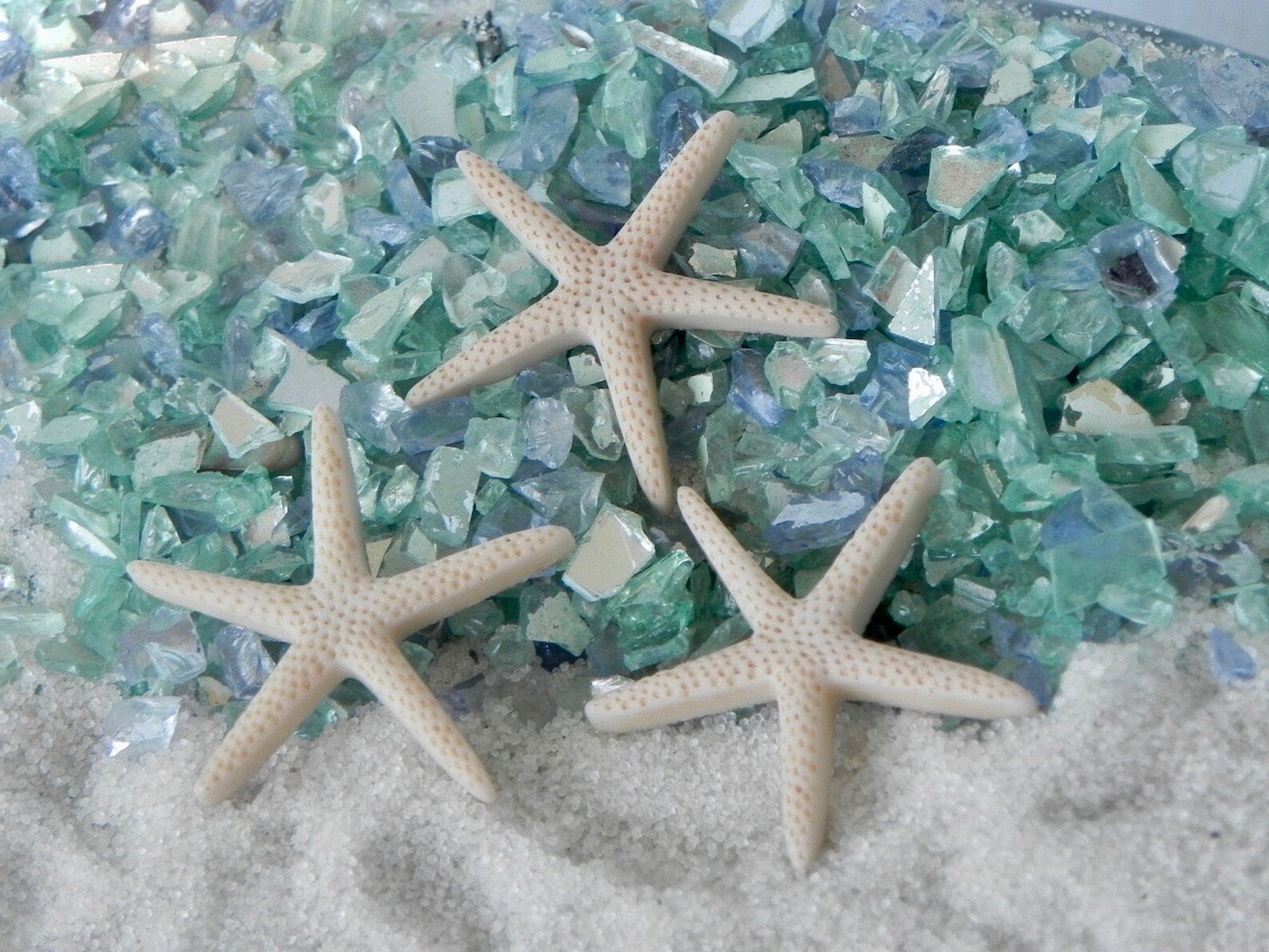 3 Miniature Starfish Beach Garden Accessory Flat Back | Etsy