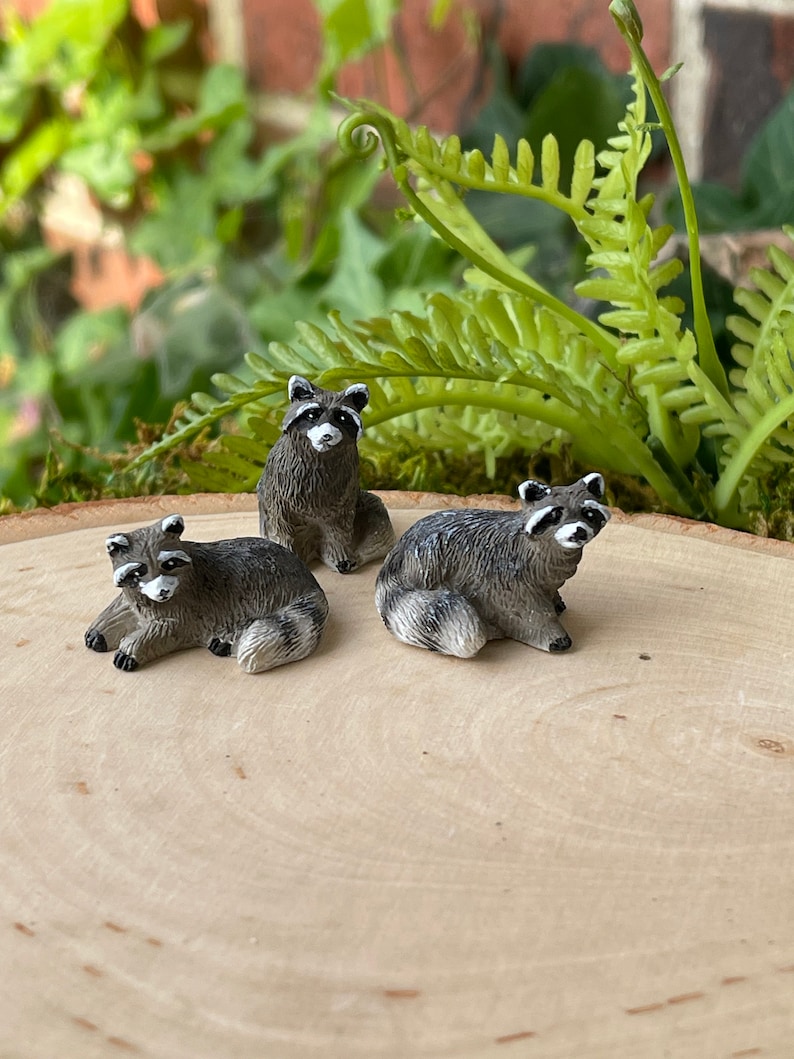 Miniature Raccoons SET of 3 Miniature Raccoon Fairy Garden - Etsy