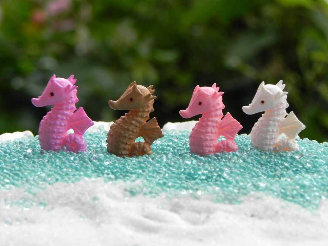 4 Miniature Beach Seahorse Mini Garden Supply, Mini Coastal Terrarium ...