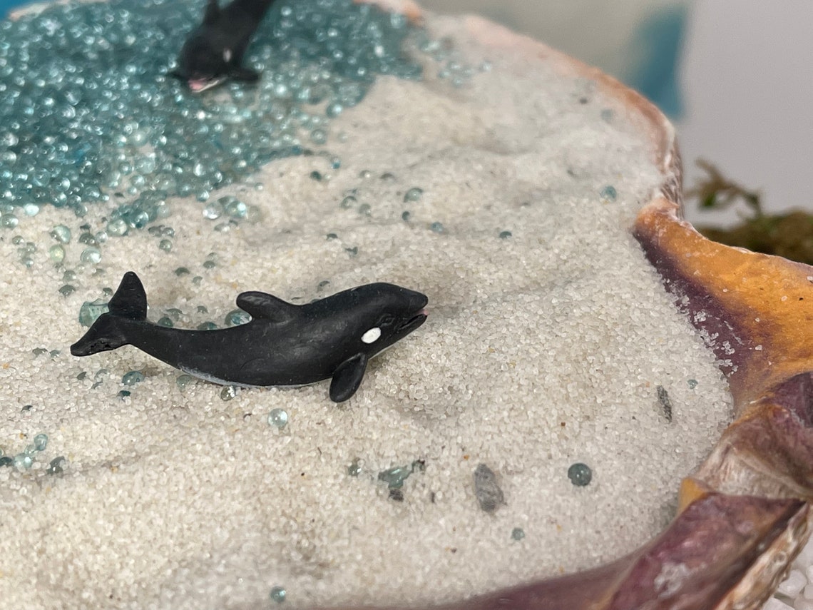 Miniature Killer Whale, Tiny Figurine, Beach Garden Supplies, Terrarium ...