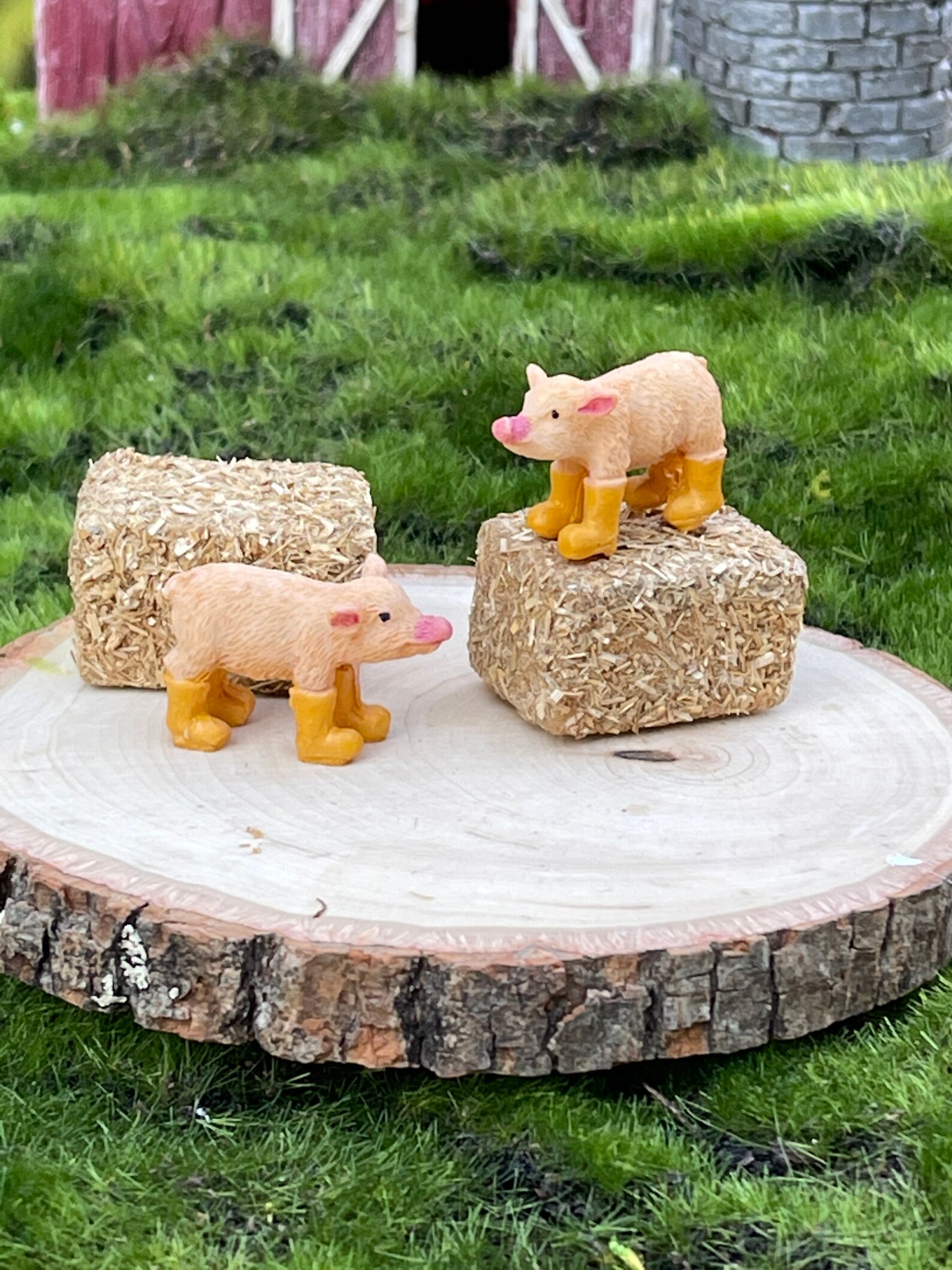 Miniature Pig, Miniature Hay Bale, Micro Mini Pigs, Hambone, Pig ...