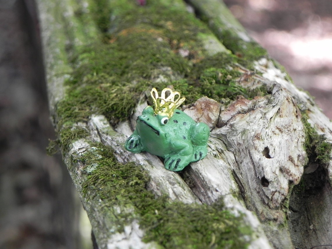 Miniature Frog, Miniature Toad, Miniature Frog Prince, Real Wood Slice ...