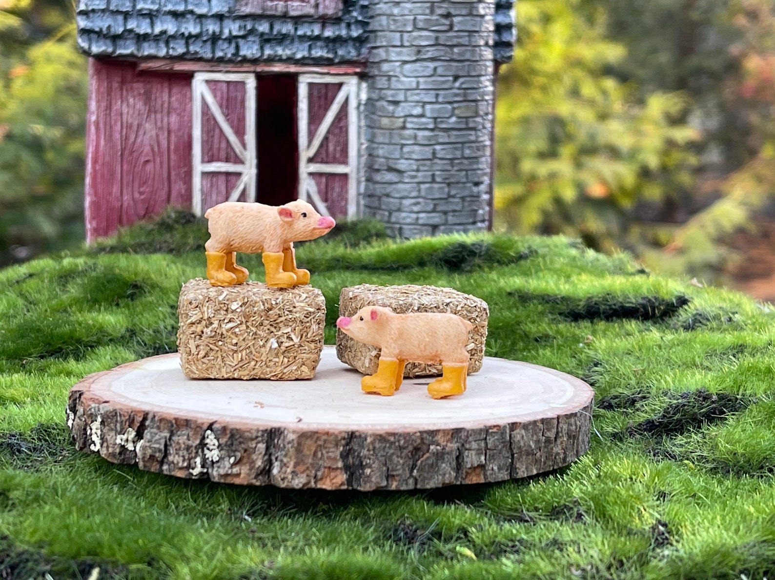 Miniature Pig, Miniature Hay Bale, Micro Mini Pigs, Hambone, Pig ...