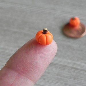 Miniature Pumpkin Micro Mini Pumpkins, Tiny Polymer Clay Pumpkins ...