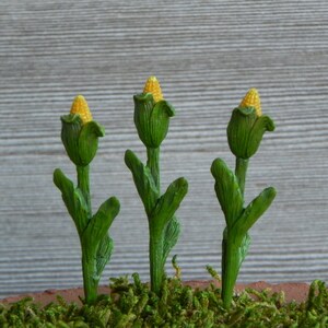 Miniature Corn Stalks, Set of 3, Fairy Garden Accessories, Fall ...