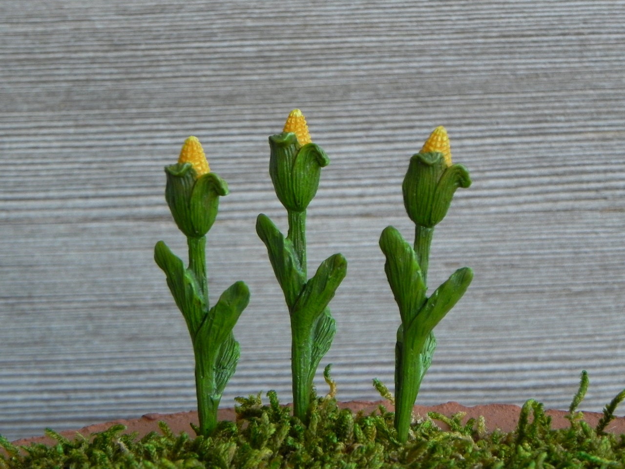 Miniature Corn Stalks, Set of 3, Fairy Garden Accessories, Fall ...