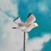 Miniature Seagull Handcrafted Terrarium Accessories, Fairy Garden ...