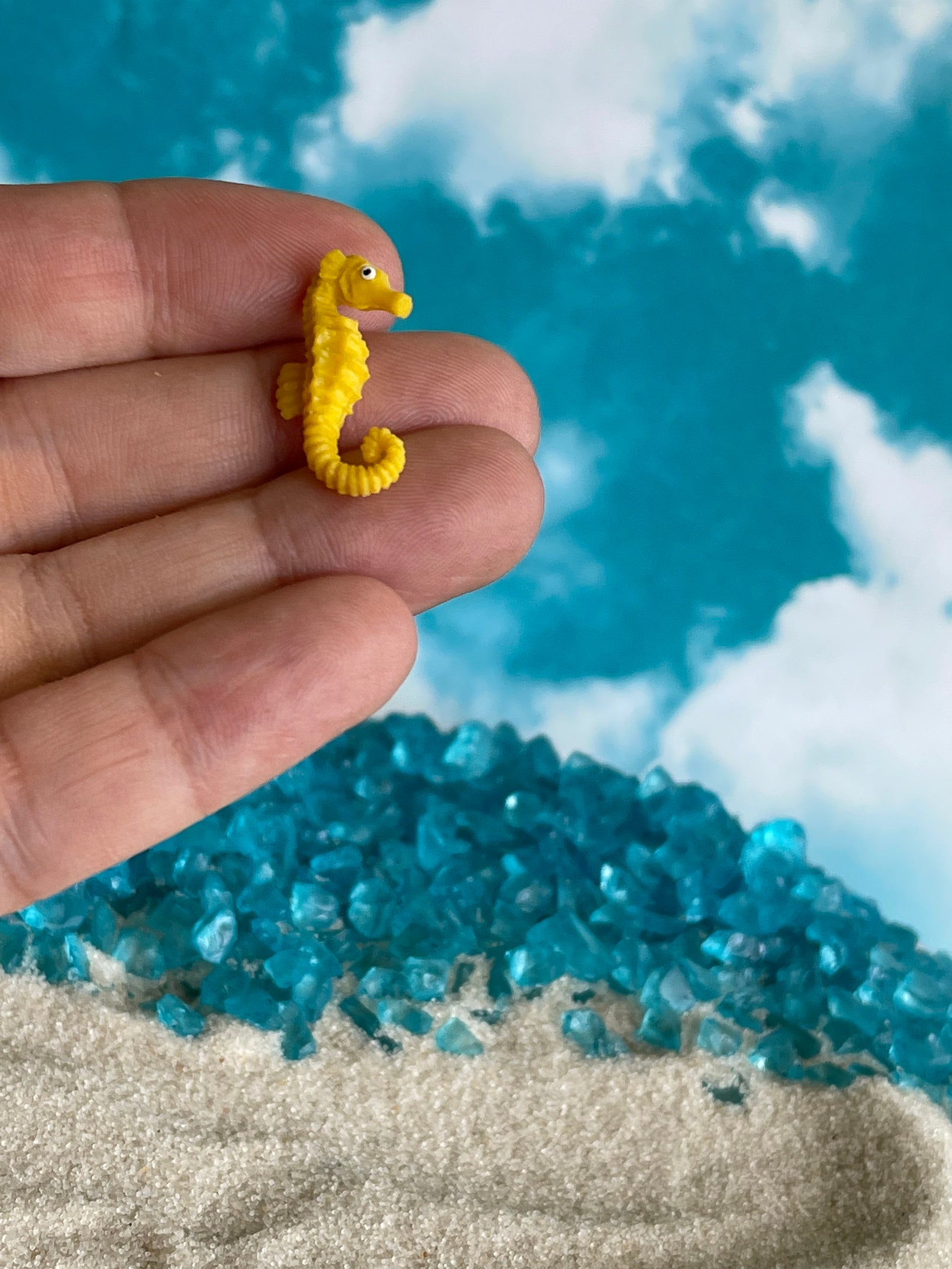 Miniature Seahorse Beach Garden Mini Beach Garden Accessory - Etsy
