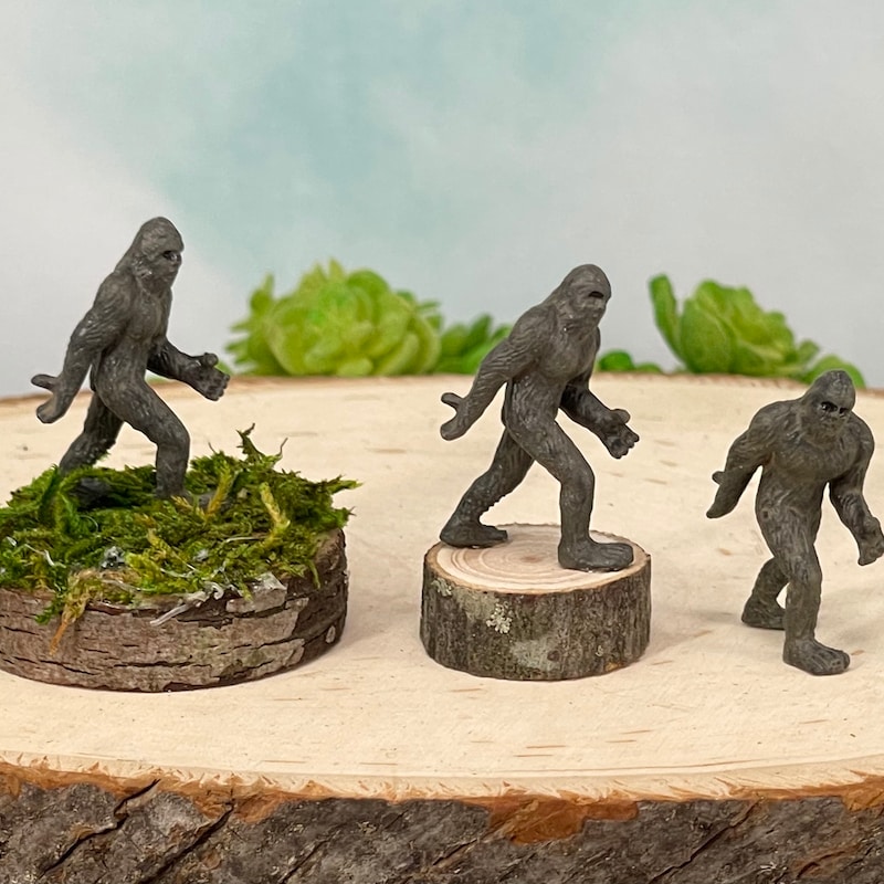 Terrarium Figurines - Etsy