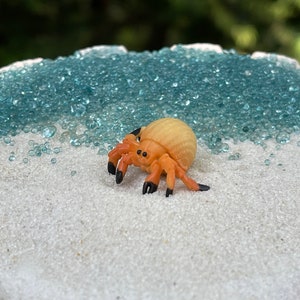 Miniature Crab, Mini Hermit Crab, Beach Garden Supplies, Terrarium ...