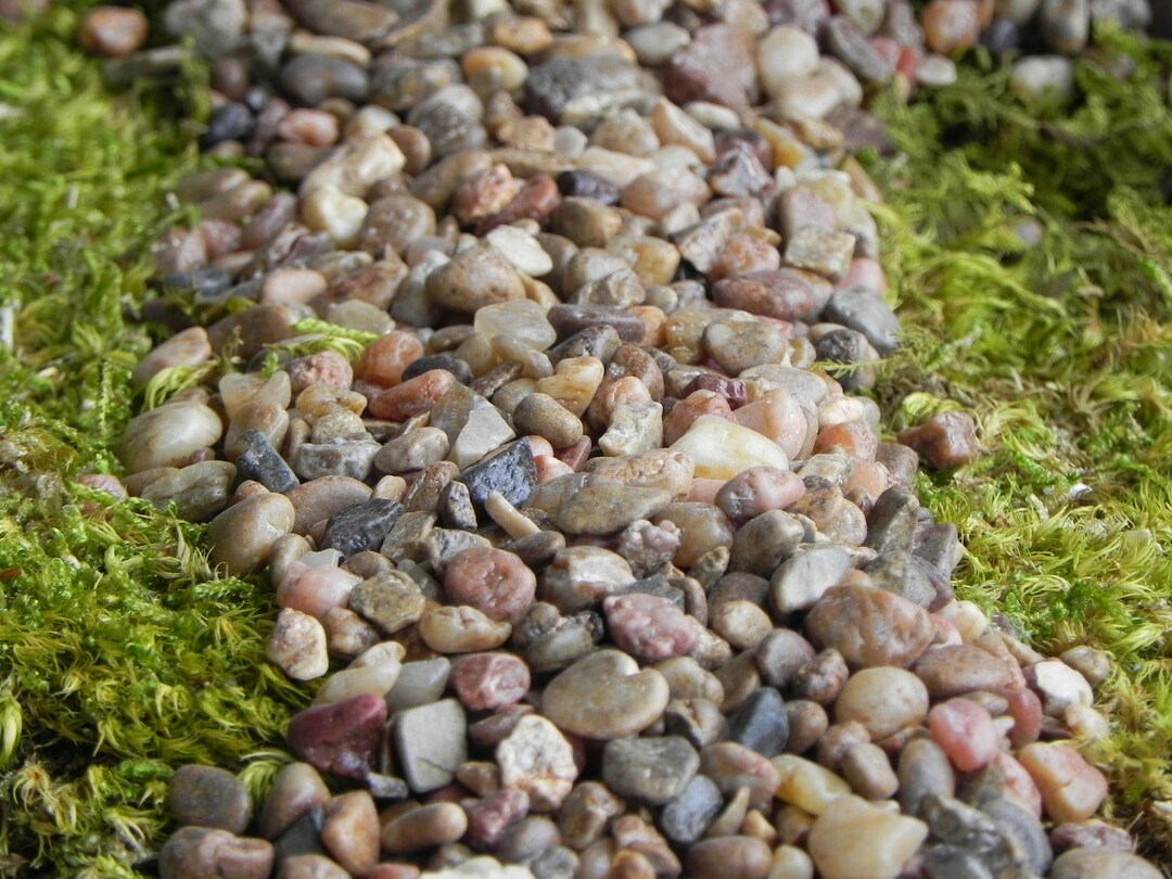Fairy Garden Pebbles Stones Pathway Rocks Terrarium Supply - Etsy