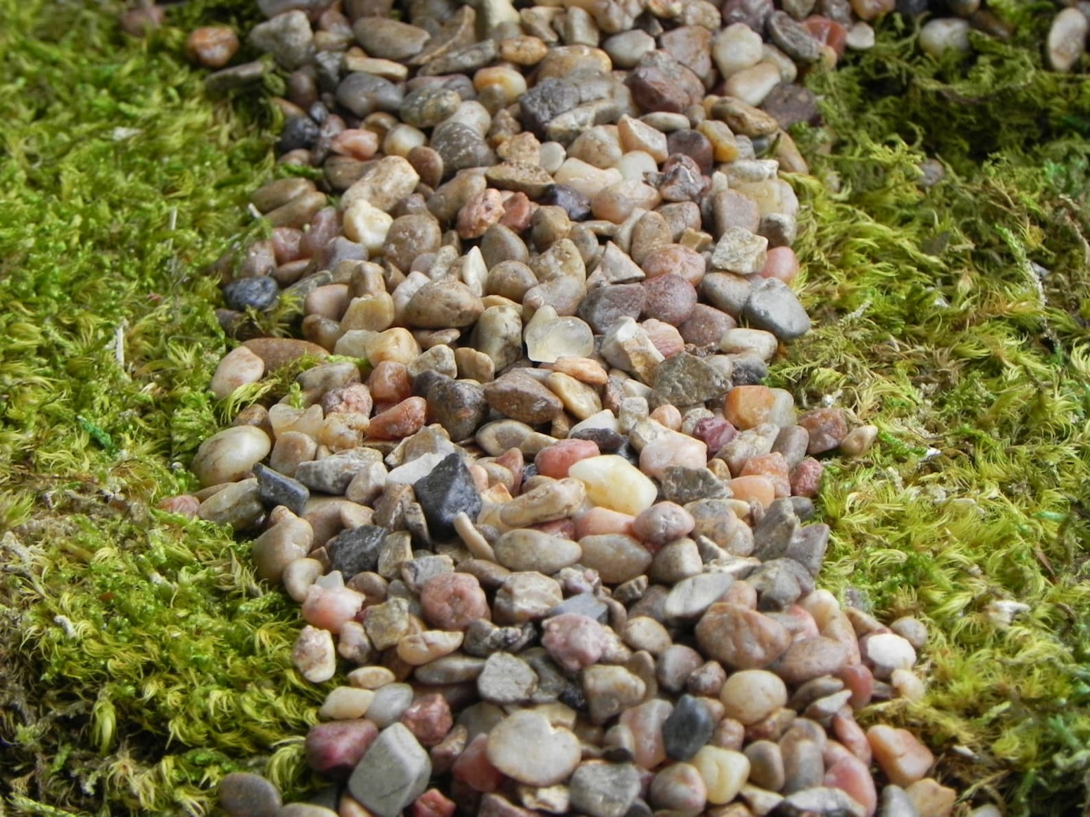 Fairy Garden Pebbles Stones Pathway Rocks Terrarium Supply - Etsy