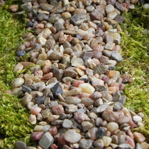 Fairy Garden Pebbles Stones, Pathway Rocks, Terrarium Supply, 8 Ounces ...
