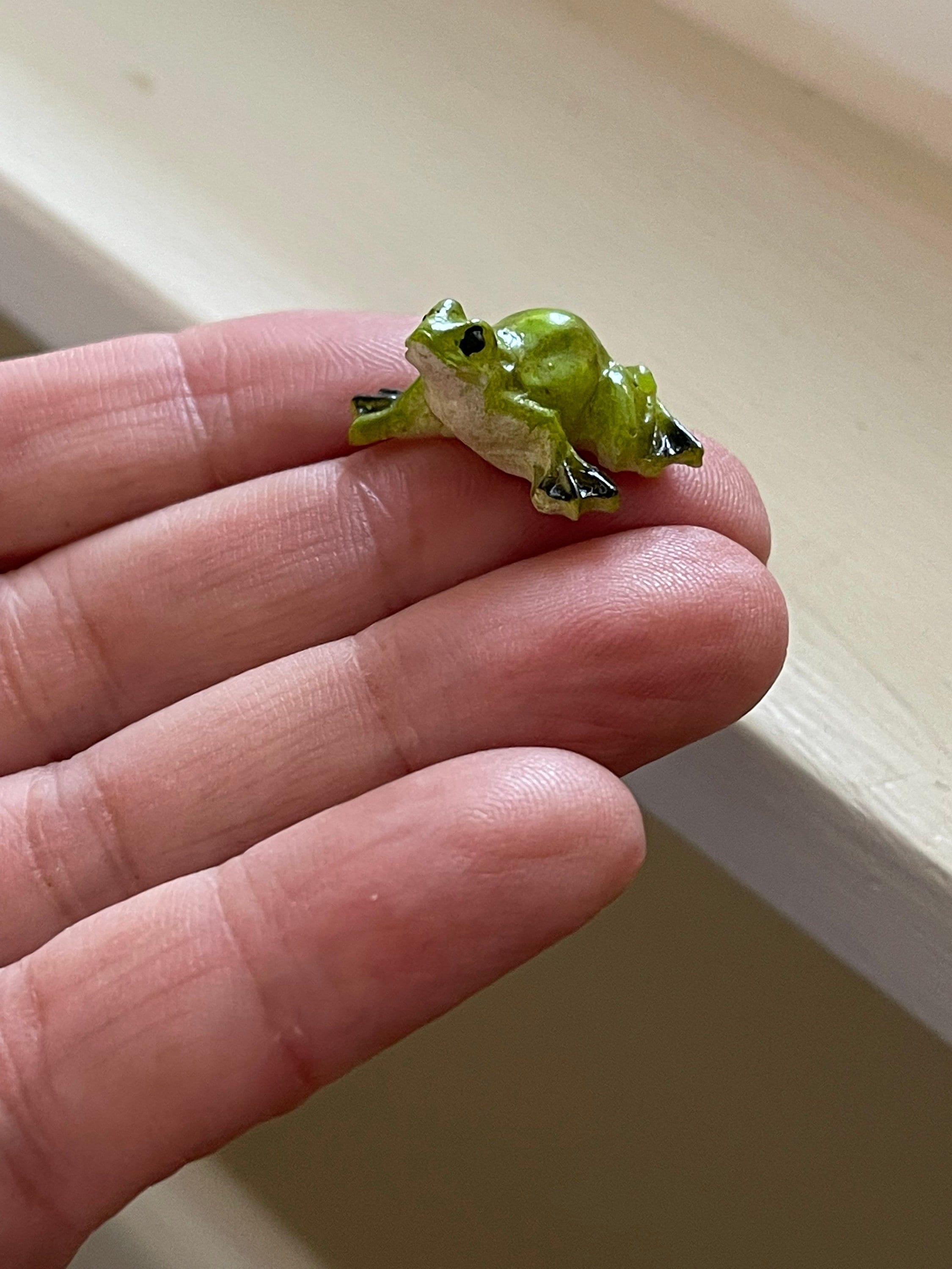 Smallest Frog In The World