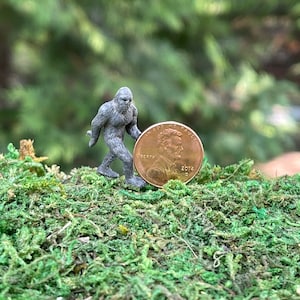 Micro Miniature Bigfoot, Tiny Sasquatch Stake, Fairy Garden Accessory ...