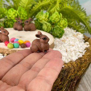 Miniature Easter Bunny, Miniature Bunnies, Miniature Easter Eggs, Fairy ...