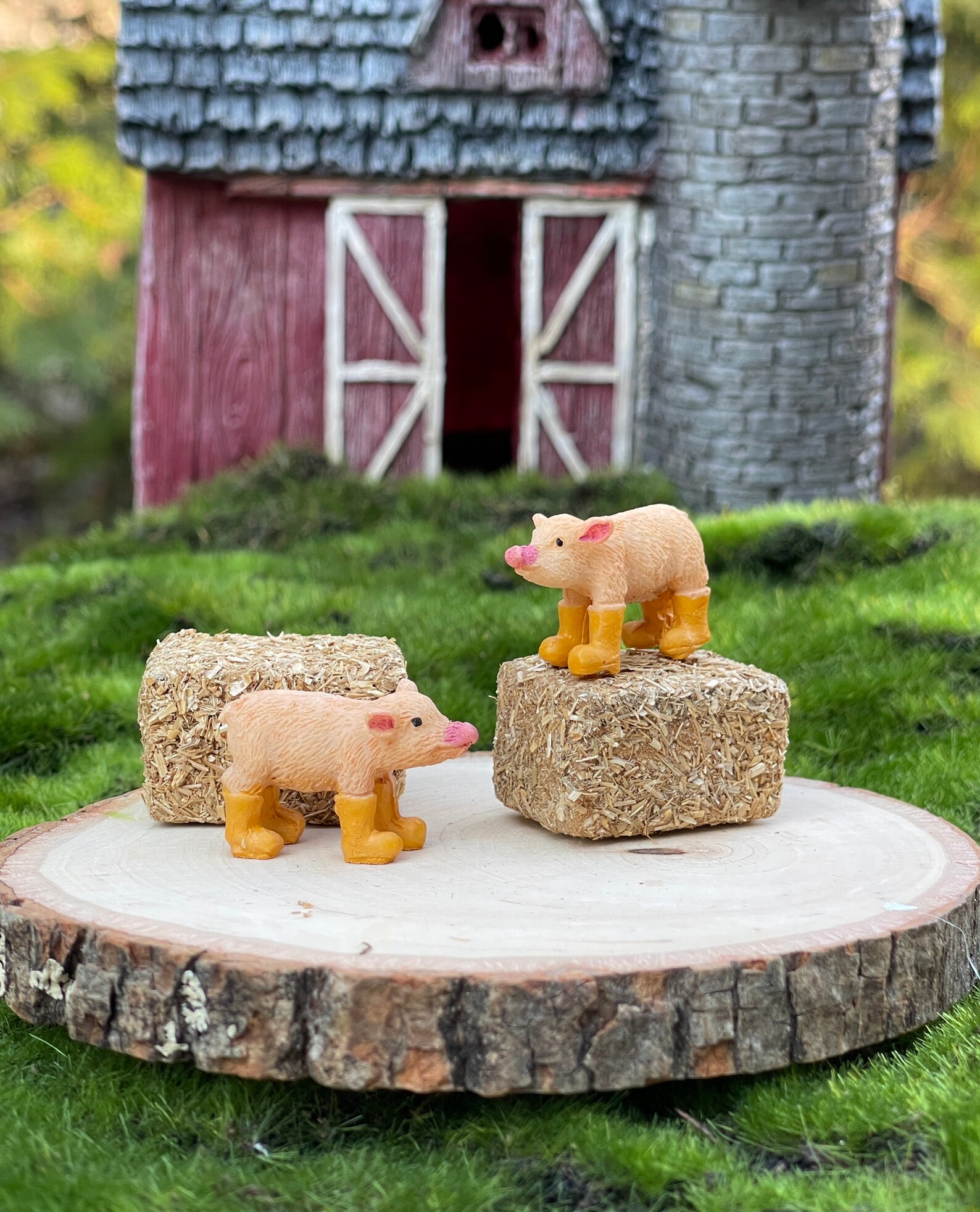Miniature Pig, Miniature Hay Bale, Micro Mini Pigs, Hambone, Pig ...