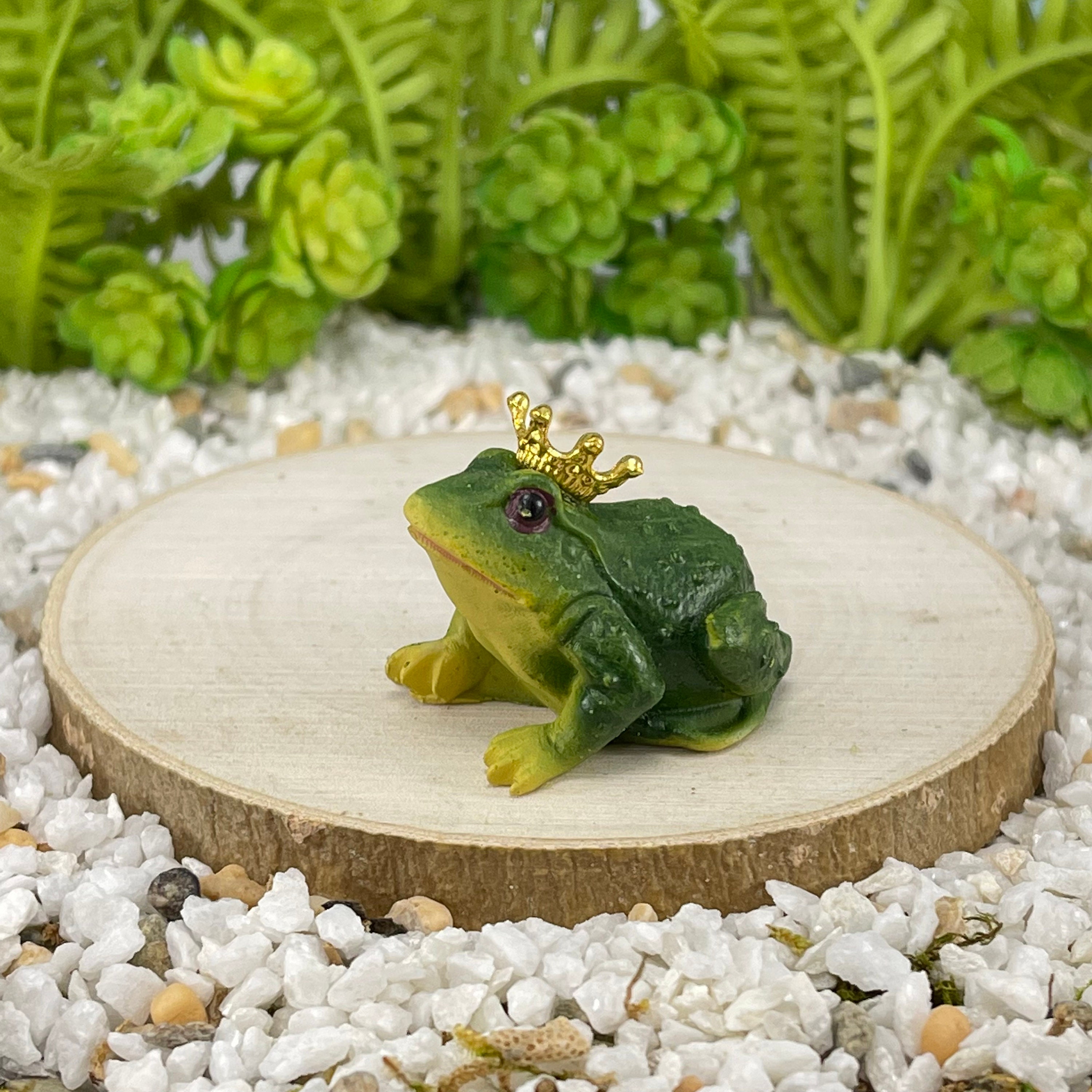 ONE Miniature Frog Prince, Fairy Garden Supply, Miniature Toad ...