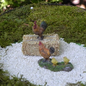 Miniature Chicken Hen Rooster Chicks, Fairy Garden Accessories, Real ...
