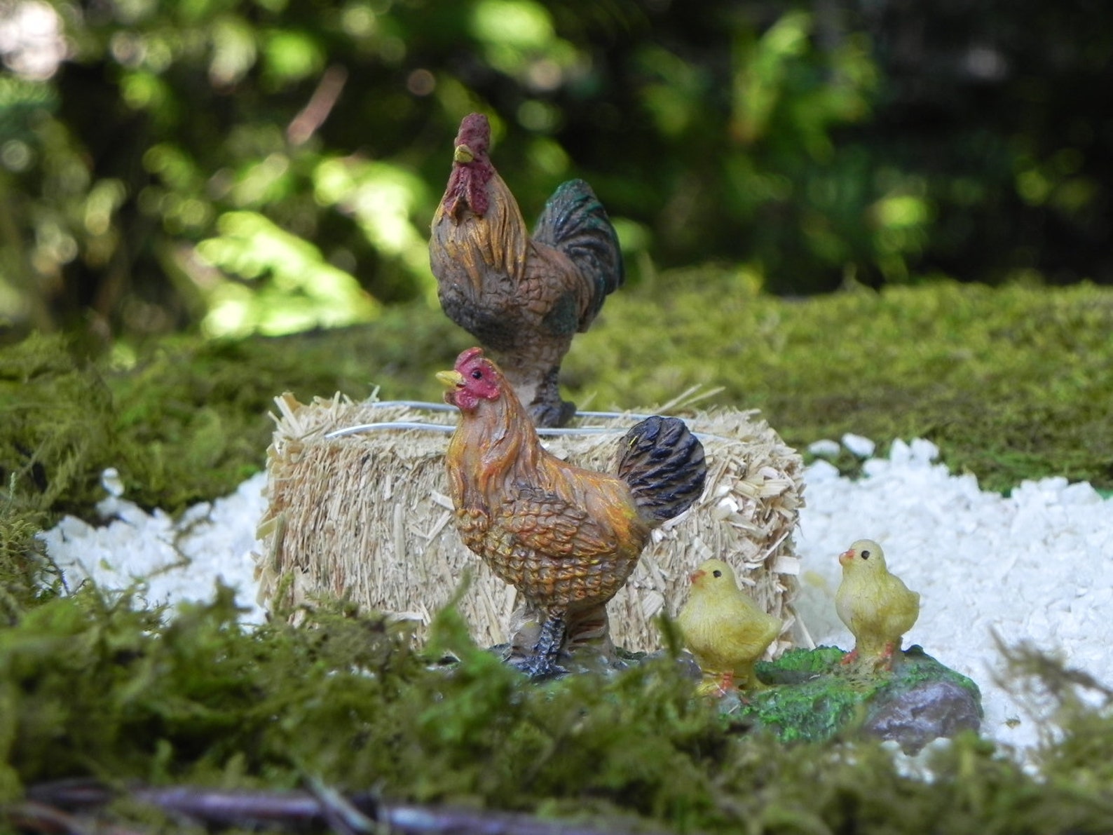 Miniature Chicken Hen Rooster Chicks, Fairy Garden Accessories, Real ...